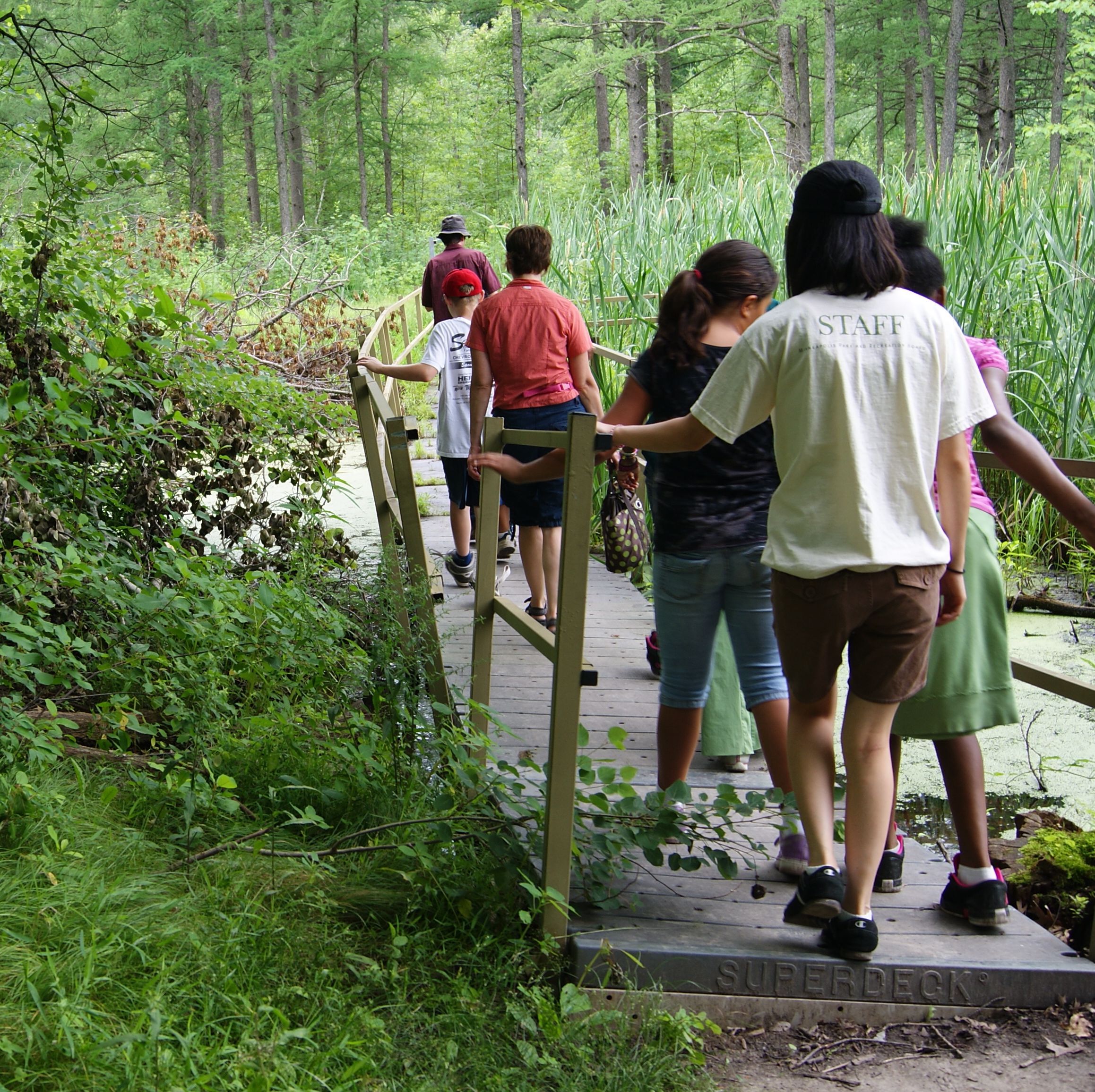 What is a plant library? Compare and Contrast | Garden Learning